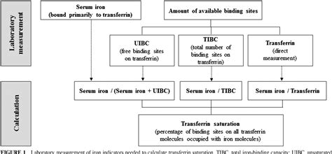 30 Calculate Transferrin Saturation Arrolariella