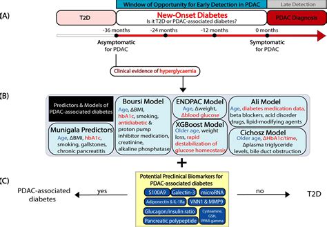 Frontiers New Onset Diabetes As An Emerging Risk Group For Early Detection Of Pancreatic