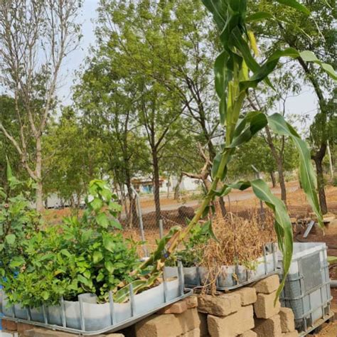 Uds Living Lab Incitis Food