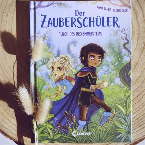 Anna Taube Der Zauberschüler Papillionis Liest