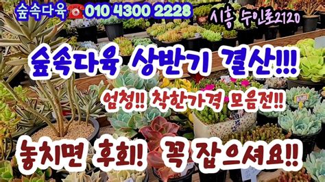 숲속다육 상반기결산착한가격으로 모음전 2천부터 초특가대품군생 사이즈좋은 3천다육은2개5천 보시면득템유료광고포함