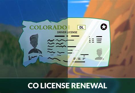 Colorado Drivers License Renewal Guide Zutobi Drivers Ed