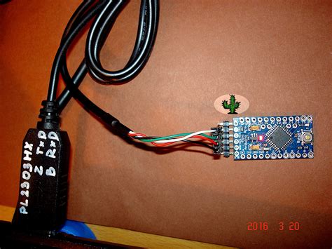 Bascom BootLoader i moduły Arduino o kaktusie