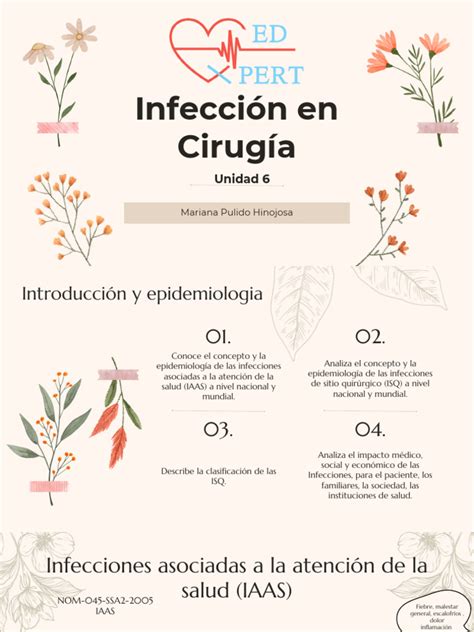 Infecciones Quirúrgicas Epidemiología Y Prevención Pdf Herida