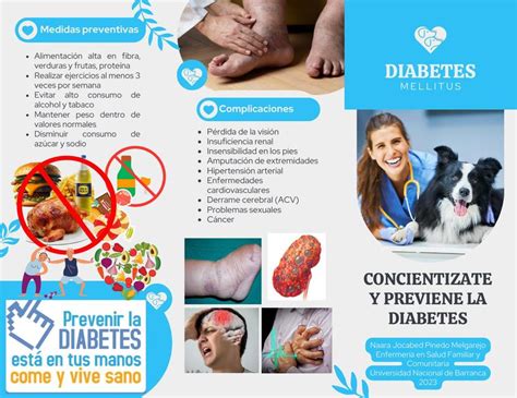 Diabetes Mellitus Naara Jocabed Pinedo Melgarejo Udocz