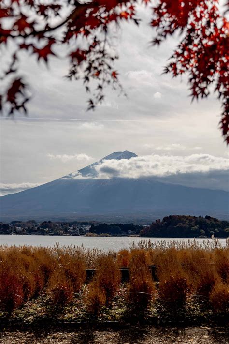 The Ultimate Day Trip To Mount Fuji 1 Day Itinerary · Le Travel Style