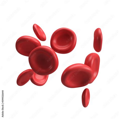 3d Flow Red Blood Cells Iron Platelets Erythrocyte Realistic Medical