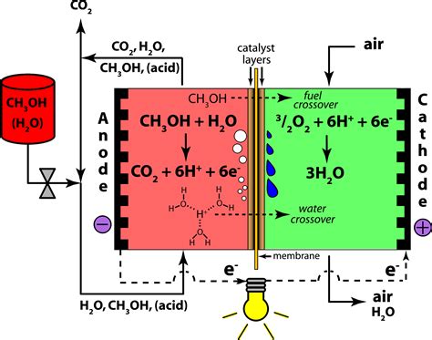 Design Of Fuel Cell At Hayley Ironside Blog