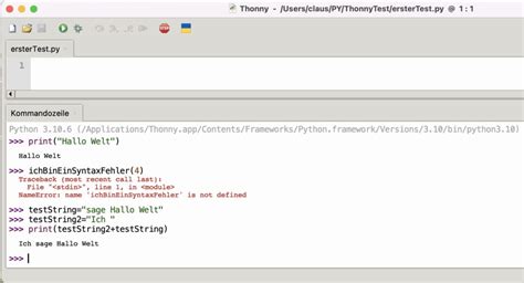 Raspberry Pico W Im Wlan Mit Python Eine Einführung