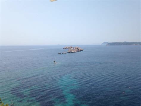 Andrej Mikić Andrejmikic Twitter