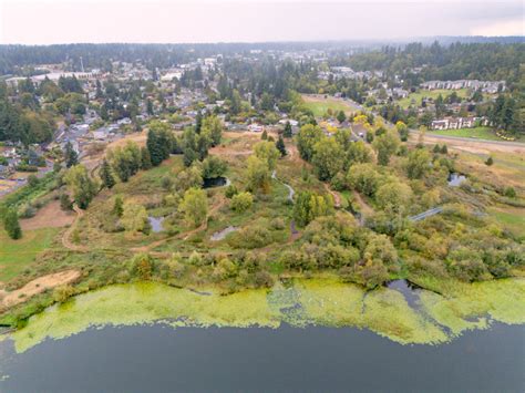 Lake Ballinger Park Viewing Platform And Trails Project Sept 14 2025