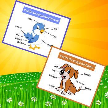 Animal Body Parts Flash Cards In French 60 Printable Posters For K