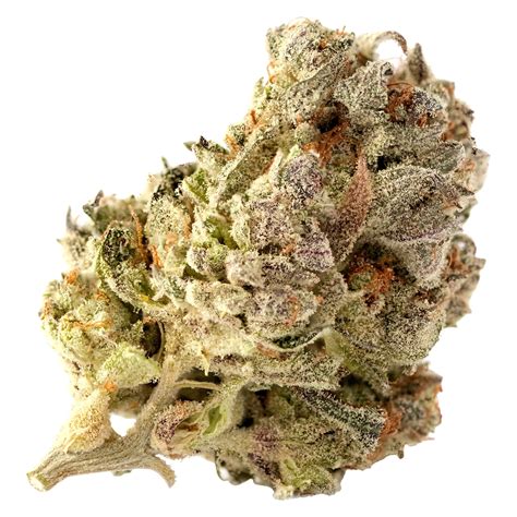 Cherry Park Pie Tangerine Dream X Hawaiian Landrace7g Dried Flower