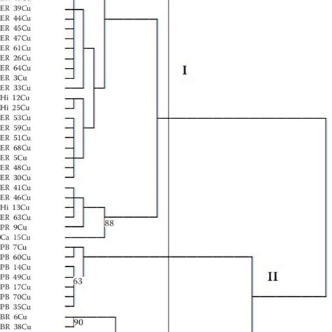 a dendrogram formed with the minimum descriptors from the euclidean