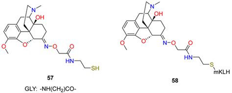 Opioid Based Haptens Development Of Immunotherapy