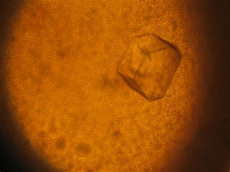 Any Suggestions About Crystal Diffraction ResearchGate