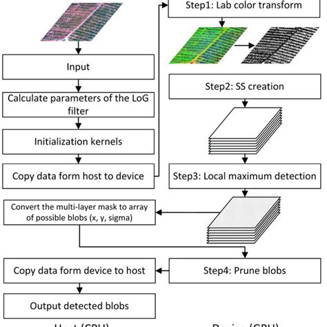 Of The Tree Detection Method Based On A Parallel Implementation Of The Download Scientific