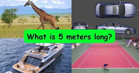 How Long Is 5 Meters Understanding The Distance