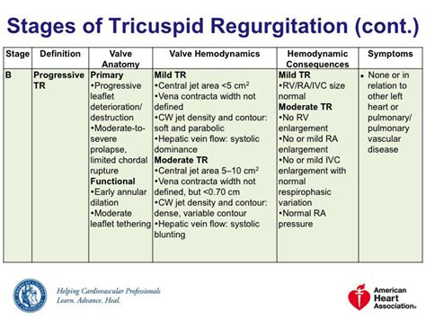 Thread By Noshreza The Forgotten Valve For The New Anatomy Etiologies