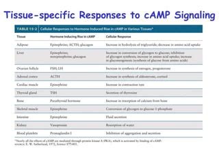 Lect Signal Transduction And Protein Coupled Receptors PPT Biological Sciences Science