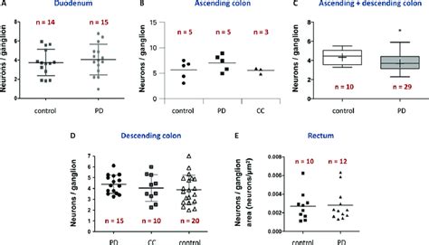 Comparisons Of Mean Intestinal Enteric Neuron Quantities Between Pd And