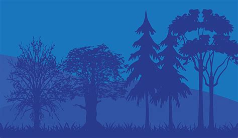 Tree Design Oak Wood Vector Design Oak Wood Png And Vector With