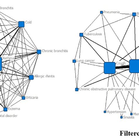 Disease Co Occurrence Networks Translated From Chinese Download Scientific Diagram