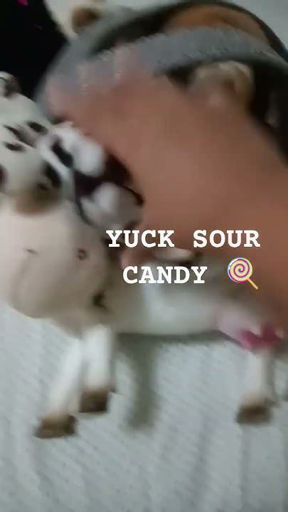 Yucky Sour Candy Youtube