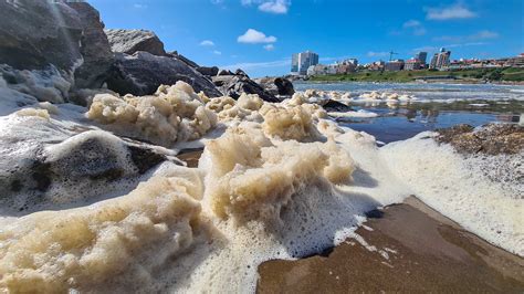 15 Fotos De La Densa Espuma Marina Que Cubrió Las Playas De Mar Del Plata Infobae