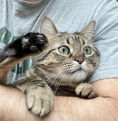 How Does R2d2 Have Sex R Jokesuncensored