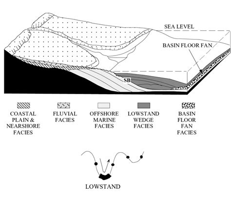 7 Model Showing Possible Relationships Between Sea Level And Systems Download Scientific