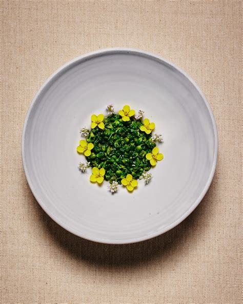 Harrison Cheney Hcheneychef • Instagram Photos And Videos