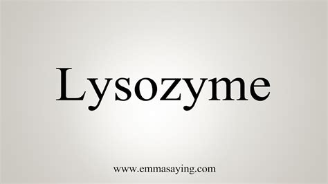 How To Say Lysozyme Youtube