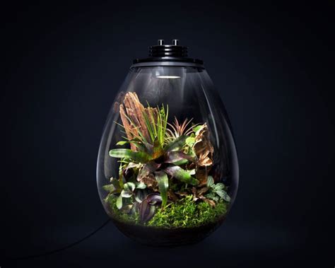 Baiosphere Mini Komplettpaket Your Living Interior Light Interior