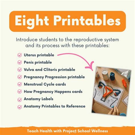 Reproductive System Play Dough Activity Mats Health Lesson Plans For Sex Ed
