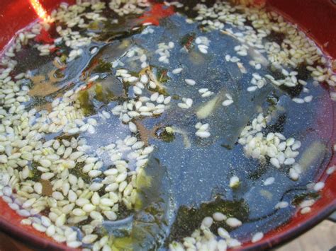 Kafka Na Praia Sopa Coreana De Wakame