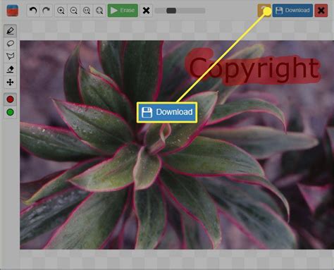 How To Remove Watermarks From Photos