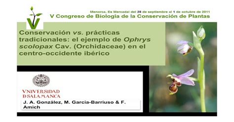 Conservación Vs Prácticas Tradicionales El Ejemplo De · Morán 1940 El Día De La Fiesta