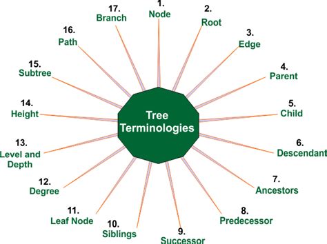 Basic Tree Terminologies In Data Structure Cs Taleem