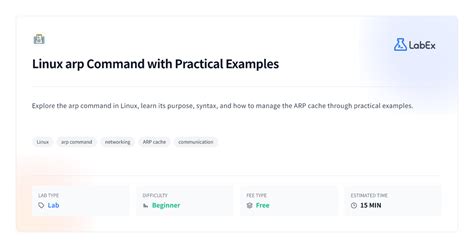 Linux Arp Command With Practical Examples Labex Linux Arp Command With Practical Examples Labex