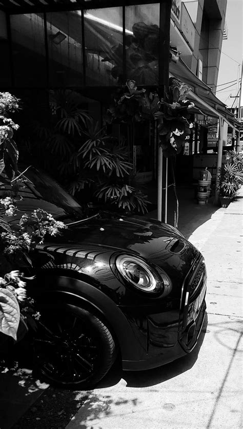 Mini Cooper Small Car Big Personality