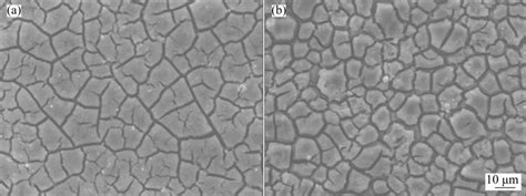 Surface Morphologies Of Molybdate Coating A And Download Scientific Diagram