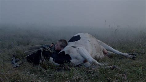 Come And See 1985 Wallpapers Top Free Come And See 1985 Backgrounds