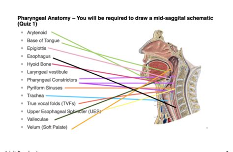 Syntax Review Flashcards Quizlet