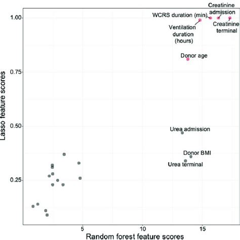 Variables Of Importance Selected By The Least Absolute Shrinkage And Download Scientific