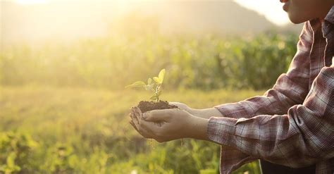 Land Preservation Vs Conservation Build A Stash