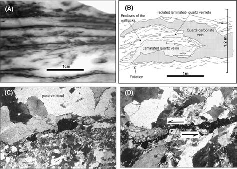 Features Of The Laminated Quartz Veins A Close Up View Of The