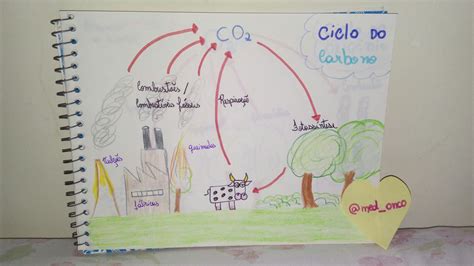 Ciclo Do Carbono Mapa Mental