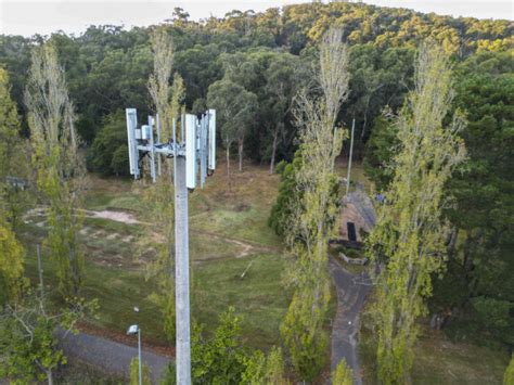 My Local Plan Aaron Violi Mp