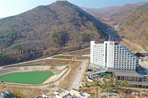 정선여행 파크로쉬 리조트 앤 웰니스 숙박과 조식 웰니스프로그램 체험 네이버 블로그